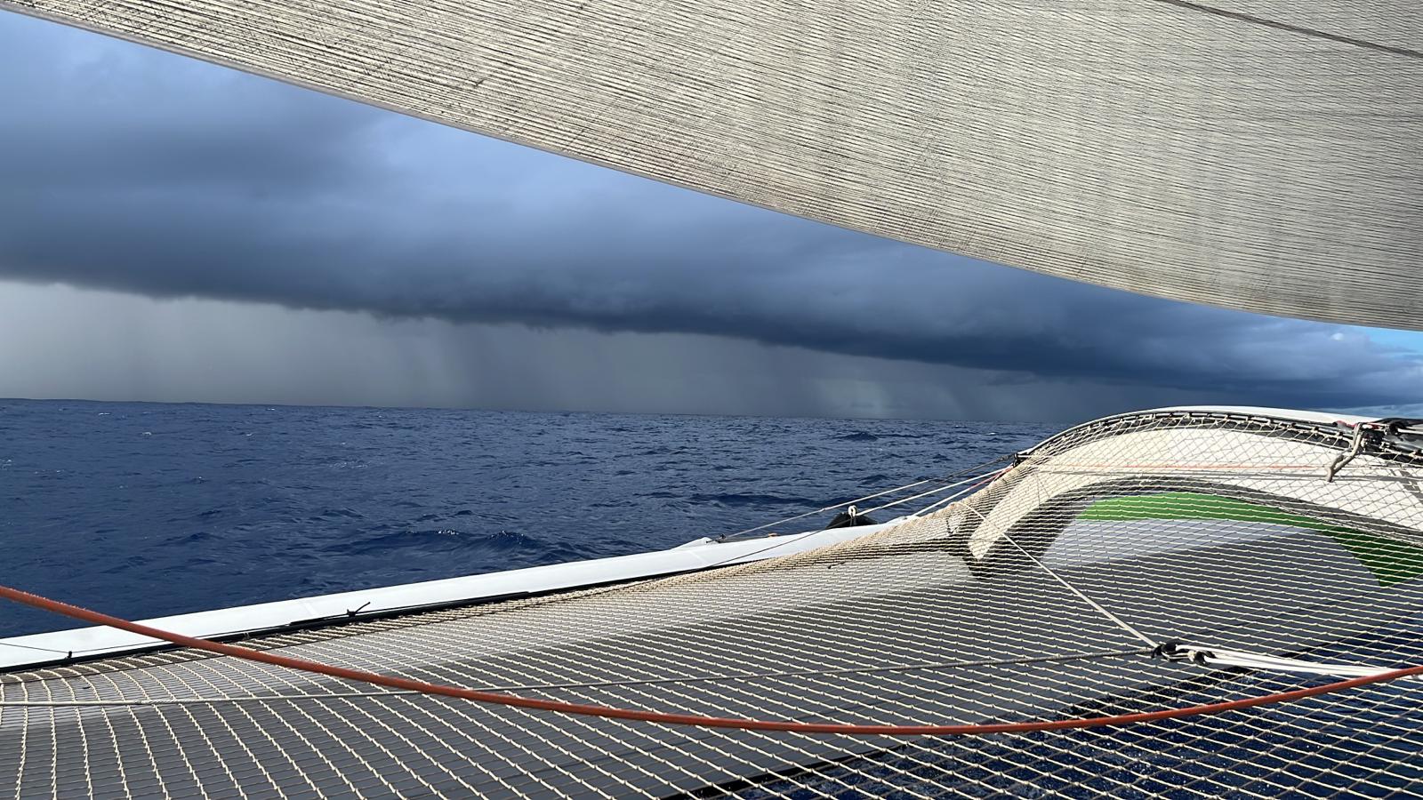 « Trouver son chemin en slalom entre les grains » | Armel Tripon